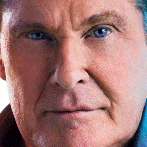 Hoff Thehoff GIF by ADMIRAL - Find & Share on GIPHY