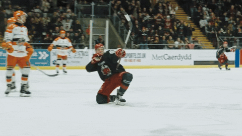 Cardiff Devils GIFs on GIPHY - Be Animated