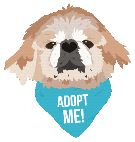 Adopt Sticker by FosterDogs for iOS & Android | GIPHY