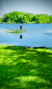 Animated Lake Gif