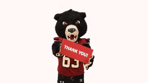 Joe Bear GIFs on GIPHY - Be Animated