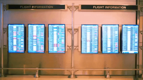 Flight Canceled GIFs - Get the best GIF on GIPHY