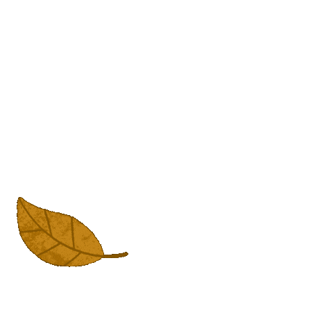 Fall Leaves Falling Gif