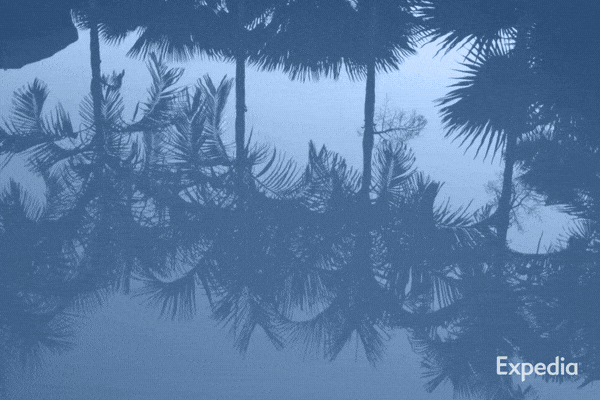 Booking GIFs - Get the best GIF on GIPHY