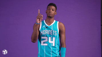 Charlotte Hornets GIFs on GIPHY - Be Animated