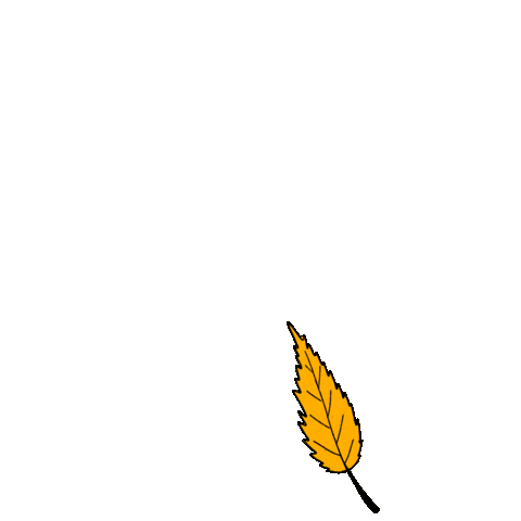 Fall Leaves Transparent Gif