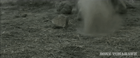 Bonetomahawk GIFs - Get the best GIF on GIPHY