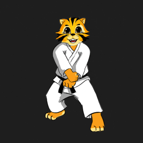Cat Fight GIF by Oyakata GmbH - Find & Share on GIPHY
