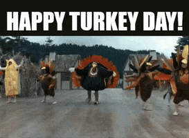 Happy-thanksgiving GIFs - Get the best GIF on GIPHY