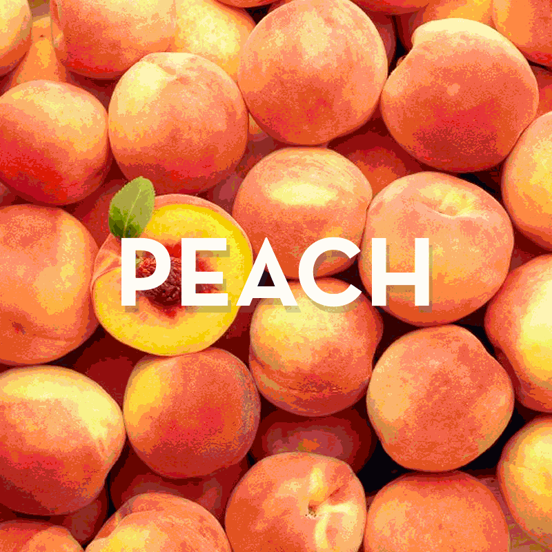 The Good Cider GIF - Find & Share on GIPHY