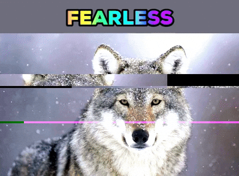 The-few-the-fearless GIFs - Get the best GIF on GIPHY