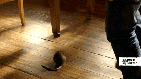 Tread Down GIFs - Get the best GIF on GIPHY