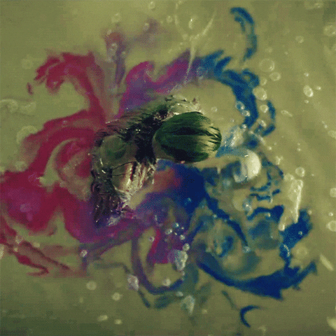 Spot-the-dye-tube-in-jokers-sleeve GIFs - Get the best GIF on GIPHY