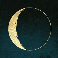 Moon Phase Gif