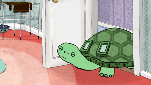 Turtle Walking Gif