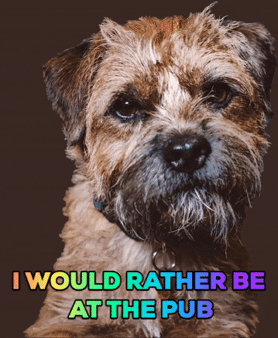 At-the-pub GIFs - Get the best GIF on GIPHY