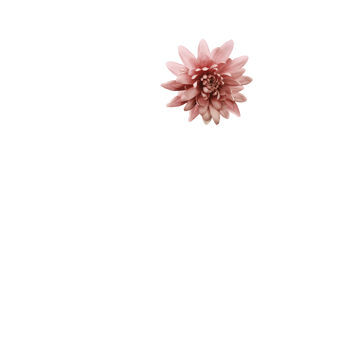Flower Sticker by Fabletics for iOS & Android | GIPHY