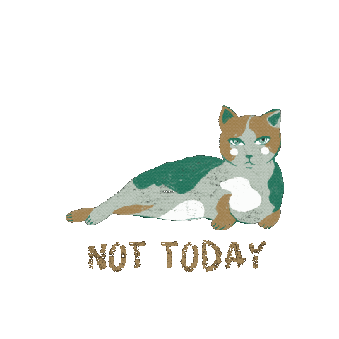 Cat Not Today Sticker for iOS & Android | GIPHY