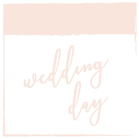 Wedding Prep GIFs - Get the best GIF on GIPHY