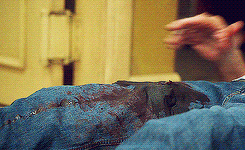 Community GIFs - Find & Share on GIPHY