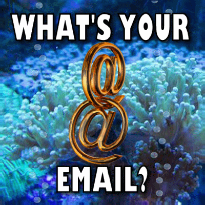 Email Send Message GIF - Find & Share on GIPHY
