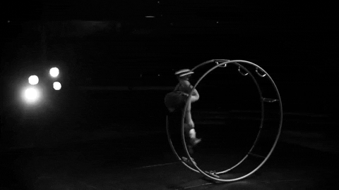 Circus Cirque GIF by MagdaClan circo - Find & Share on GIPHY