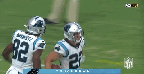 Carolina Panthers Football GIF by NFL - Find & Share on GIPHY
