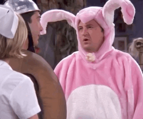 Season 8 Friends GIF - Find & Share on GIPHY
