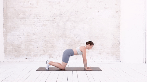Workout Exercises GIF by 8fit - Find & Share on GIPHY