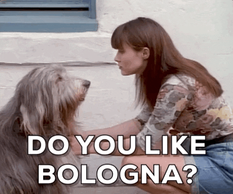 Bolo-na GIFs - Get the best GIF on GIPHY