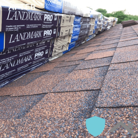 Asphaltroof GIFs - Get the best GIF on GIPHY