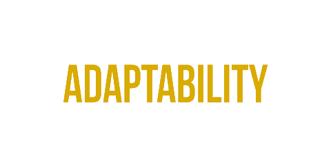 Winning Chris Evans Sticker by Traffic And Funnels for iOS & Android ...