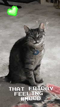 Friday Cat Gif