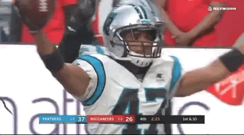 Carolina Panthers Football GIF by NFL - Find & Share on GIPHY