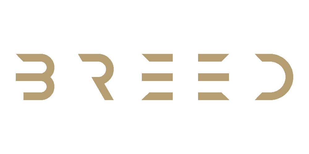 Sticker by BREED The Agency for iOS & Android | GIPHY