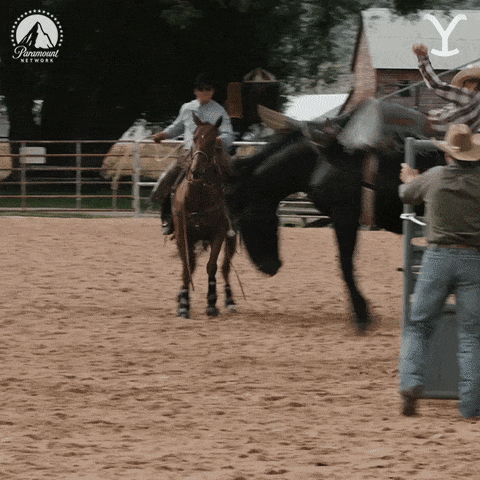 Giddy Up GIFs - Find & Share on GIPHY