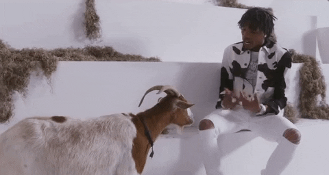 Music Videos GIFs on GIPHY - Be Animated