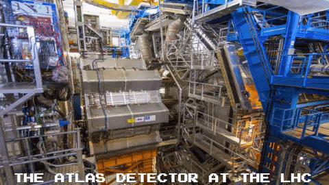 Atlas Lhc GIF by CERN - Find & Share on GIPHY