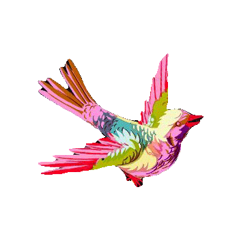 animals GIFs on GIPHY - Be Animated