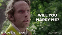 Will You Marry Me Fireworks Gif
