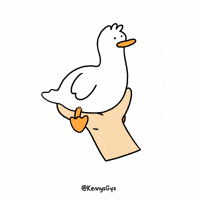 Dancing Duck Gif
