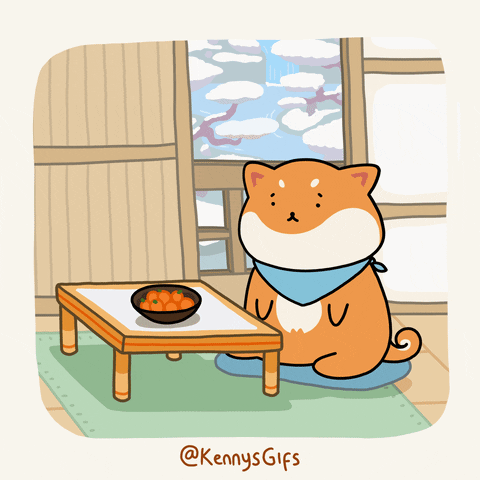 Shiba-snow GIFs - Get the best GIF on GIPHY