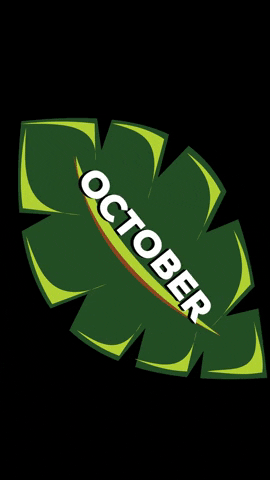 November Month GIFs - Get the best GIF on GIPHY