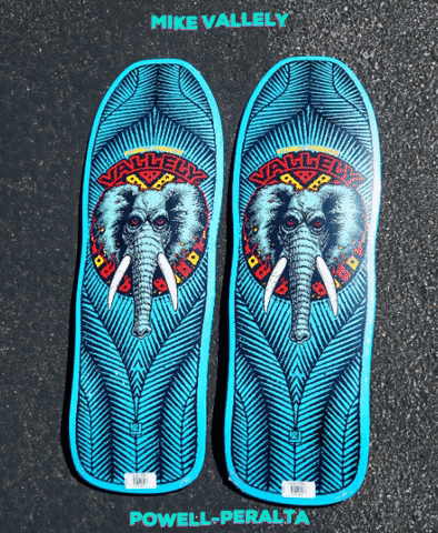 Mike Vallely GIFs - Get the best GIF on GIPHY