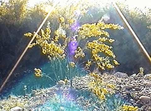 Video Sun GIF by Jano Soto Cossio - Find & Share on GIPHY