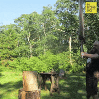 Chopping Wood Gif