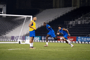 Equipe de France Masculine GIFs on GIPHY - Be Animated