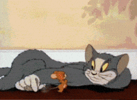 Tom And Jerry Fighting Gif