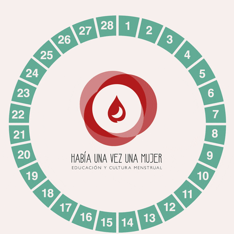 Ciclo-menstrual GIFs - Get the best GIF on GIPHY