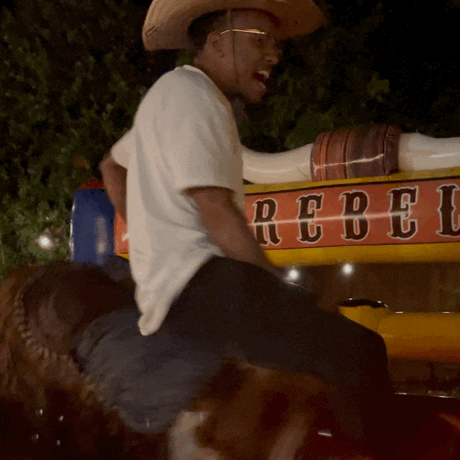 The Wild Ride GIFs - Find & Share on GIPHY